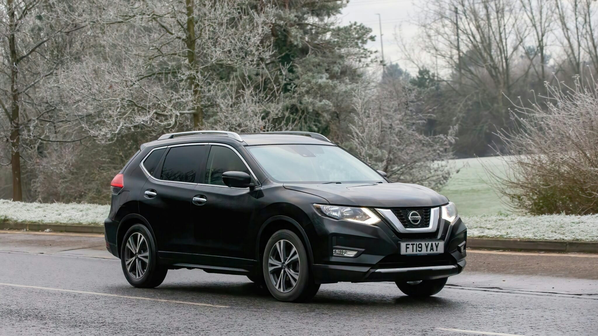 Best Cars For Dogs (2025 Update & Reviews) | Motorway