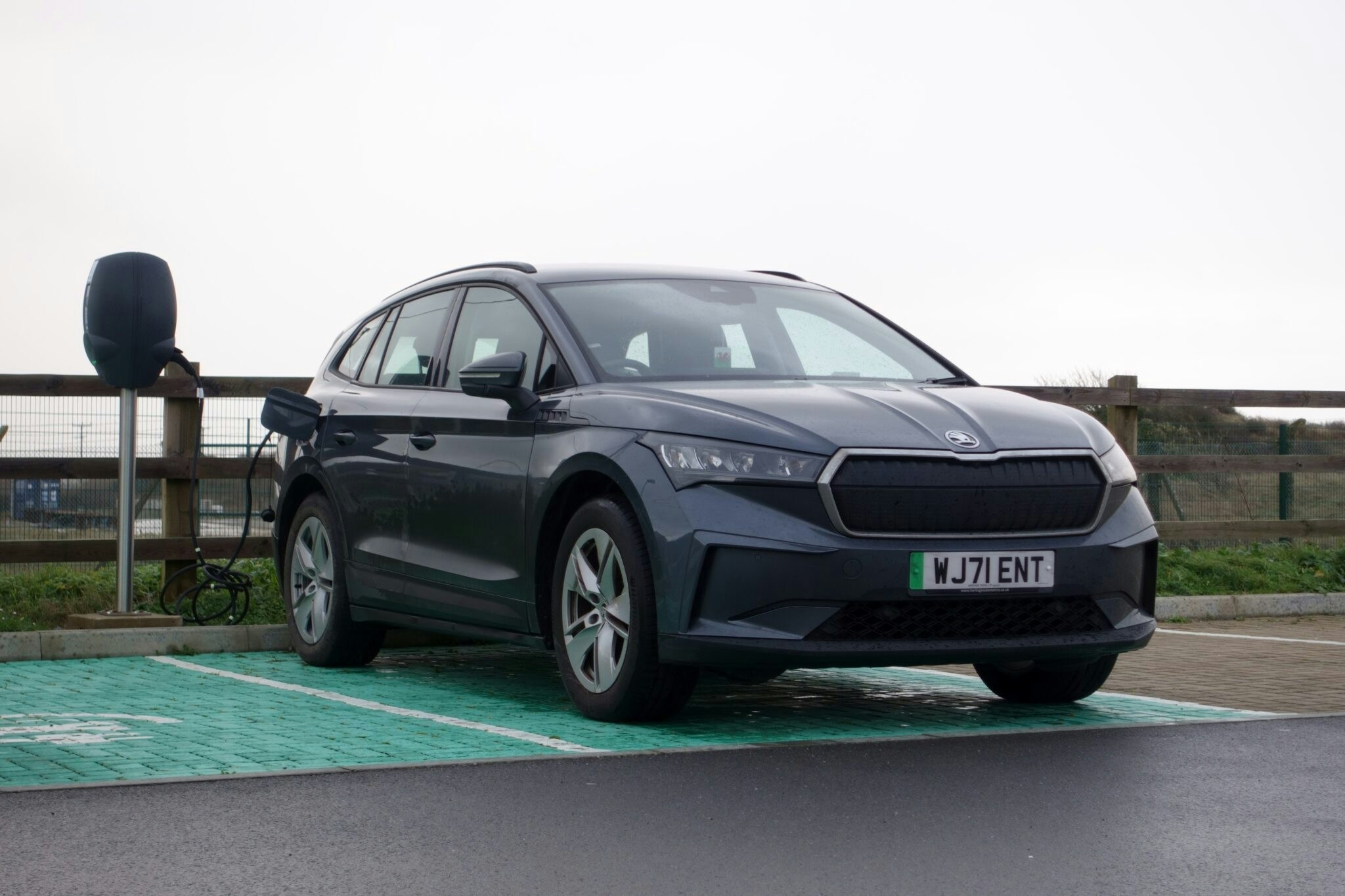 Best Cars For Dogs (2025 Update & Reviews) | Motorway